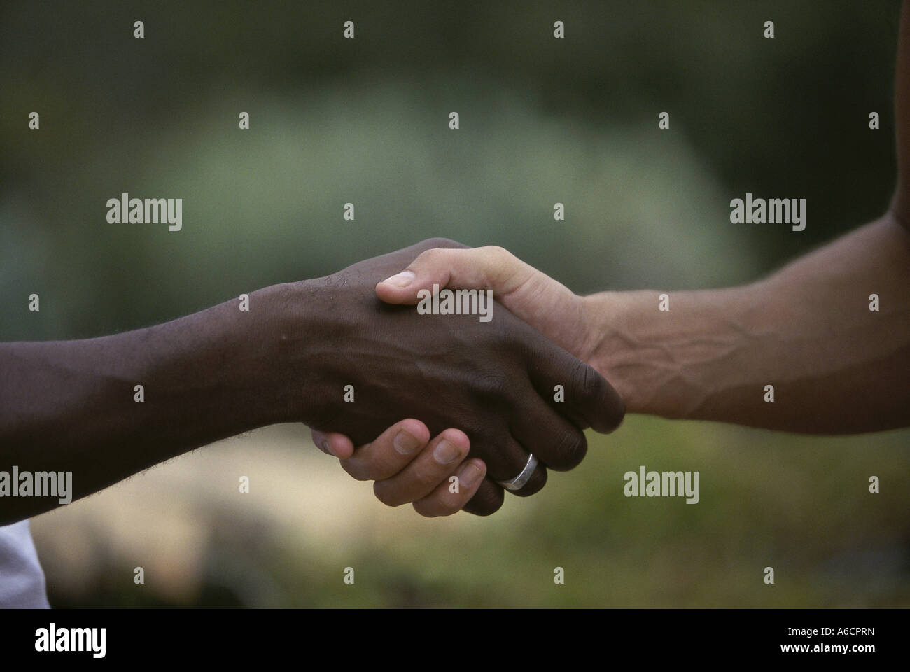 Close-up of two people shaking hands Stock Photo - Alamy