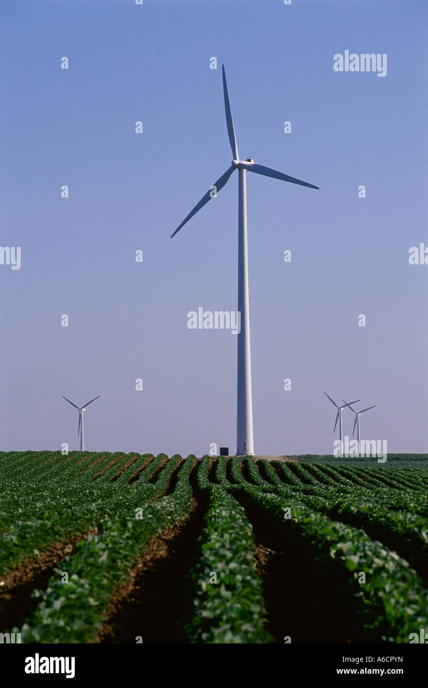 Wind turbines in a farm field, Iowa, USA Stock Photo - Alamy