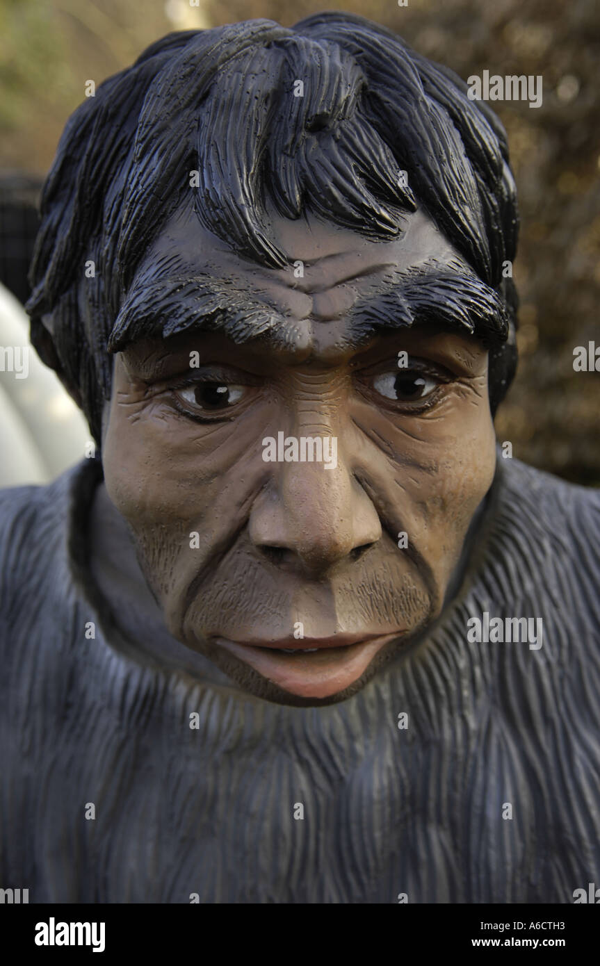 Neanderthal museum germany hi-res stock photography and images - Alamy