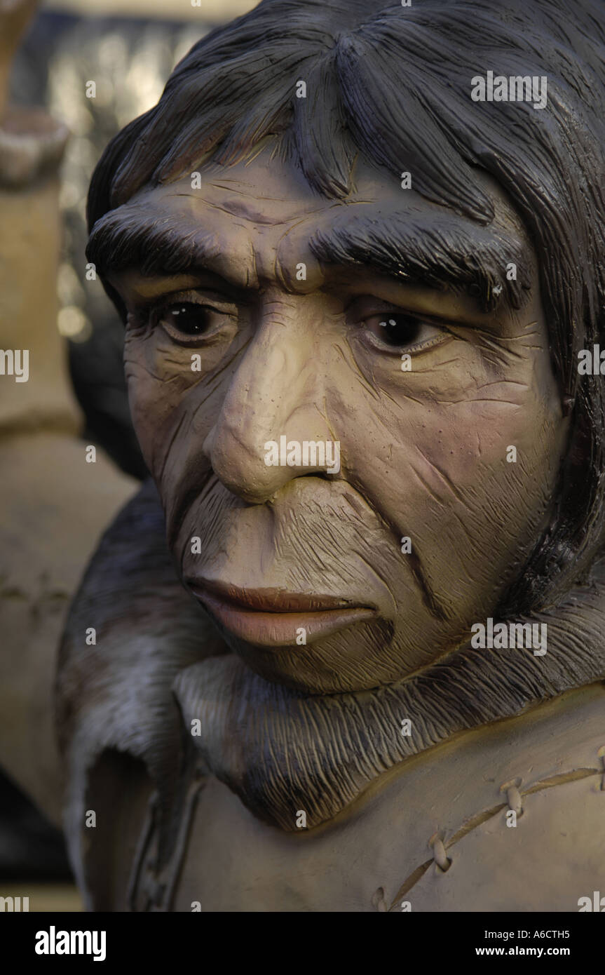 Neanderthal museum germany hi-res stock photography and images - Alamy
