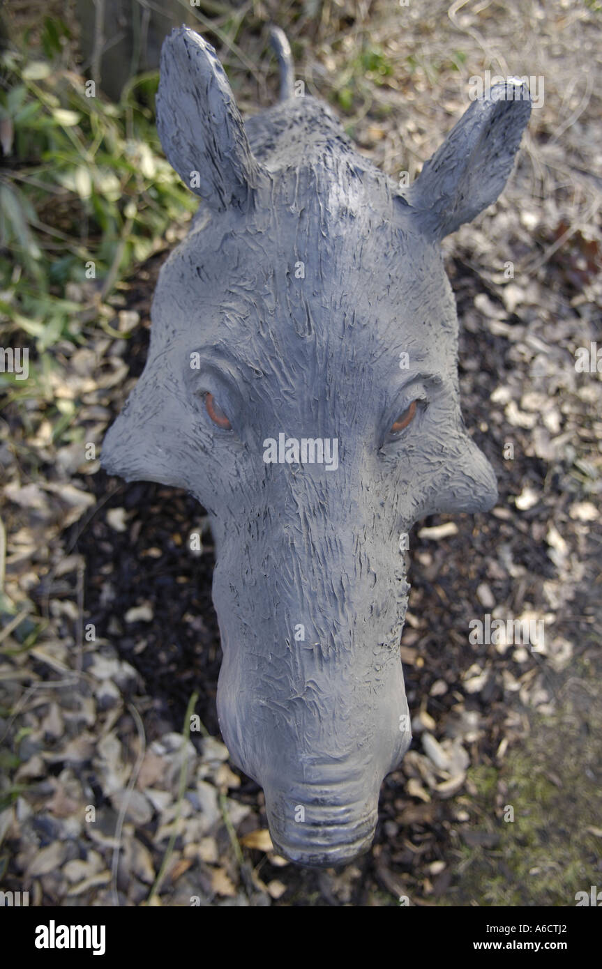 wild boar hog pig face head above prehistoric wildlife animal creature ...