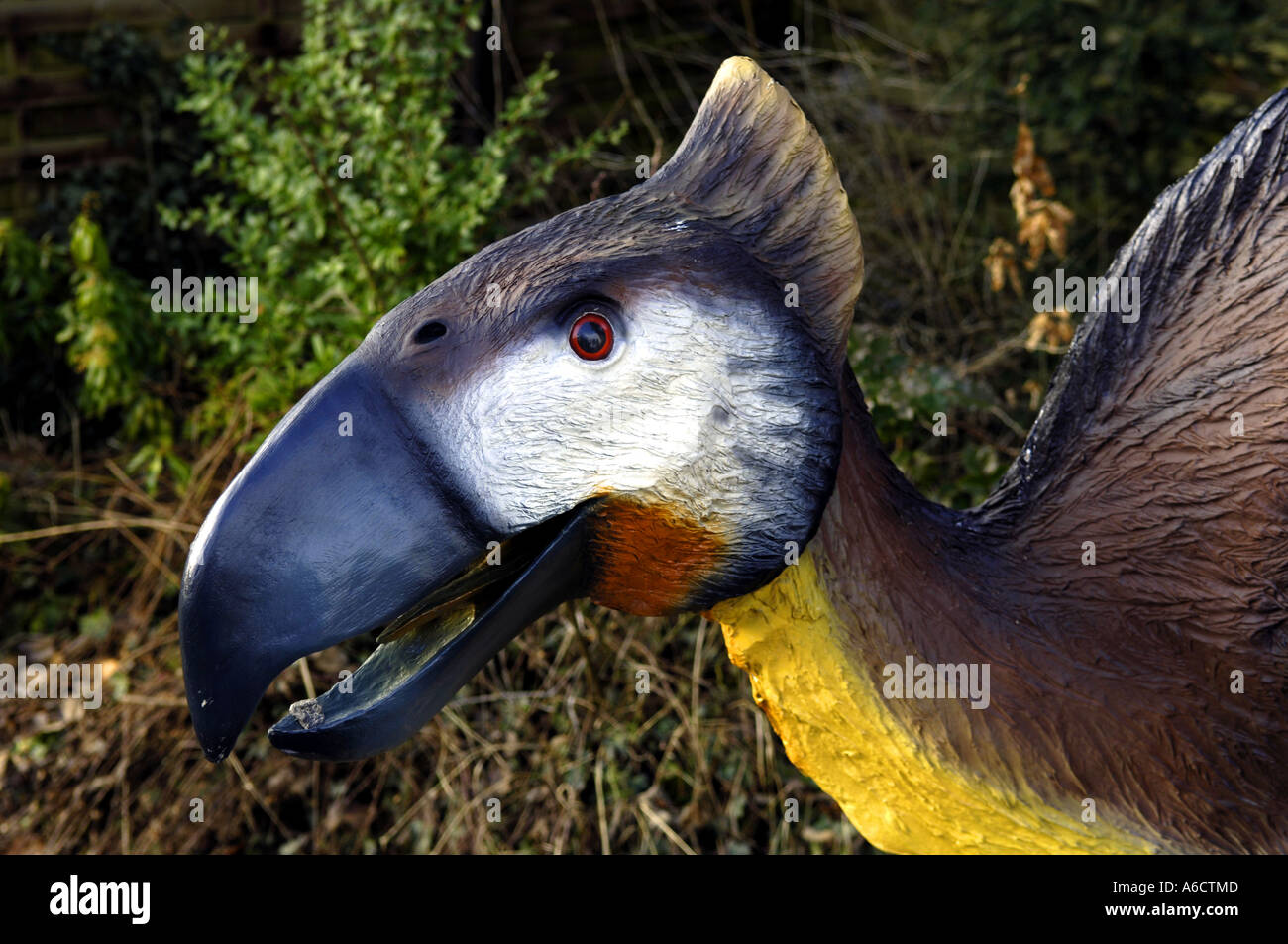 prehistoric bird creature beak diatryma flightless bird giant extinct ...