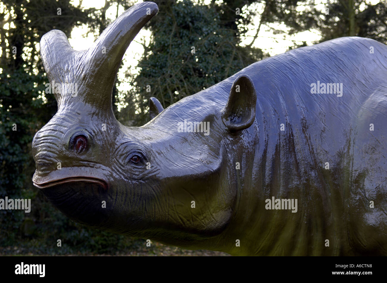 prehistoric head face large tusks Stock Photo - Alamy