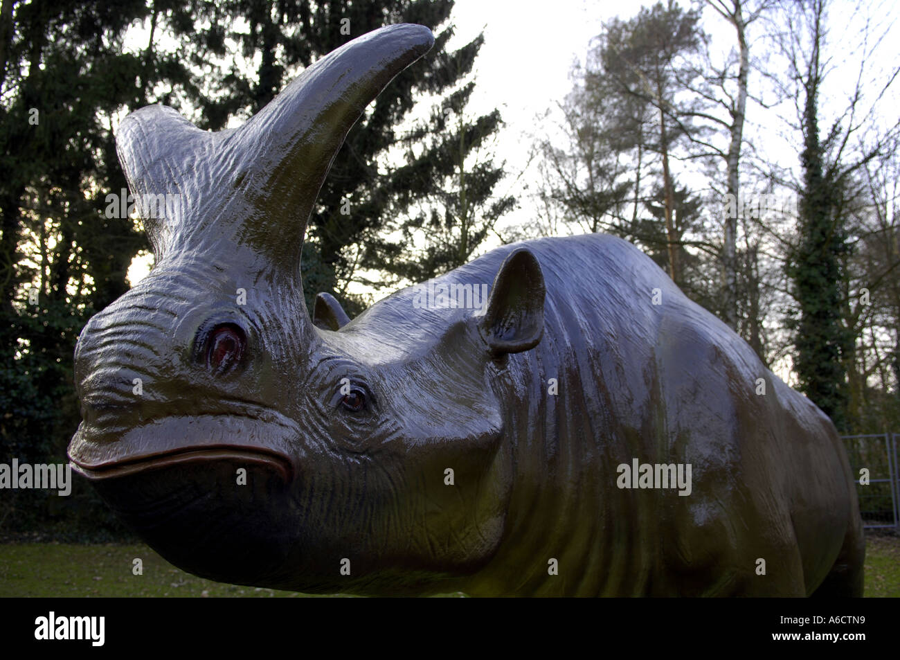 prehistoric head face large tusks animal Stock Photo - Alamy