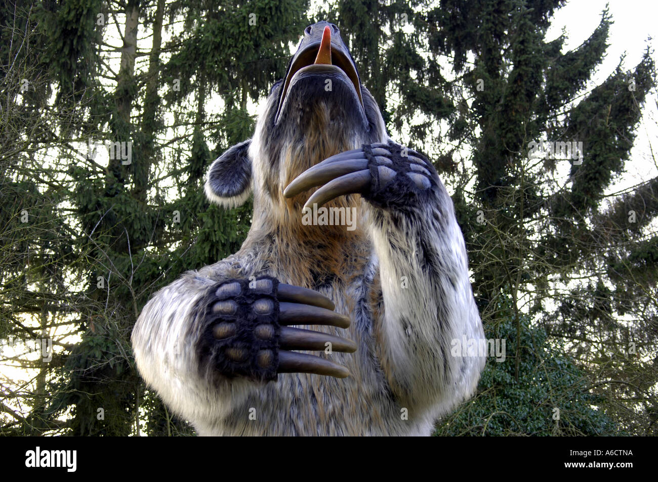 prehistoric head face large furry claws animal megatherium ...