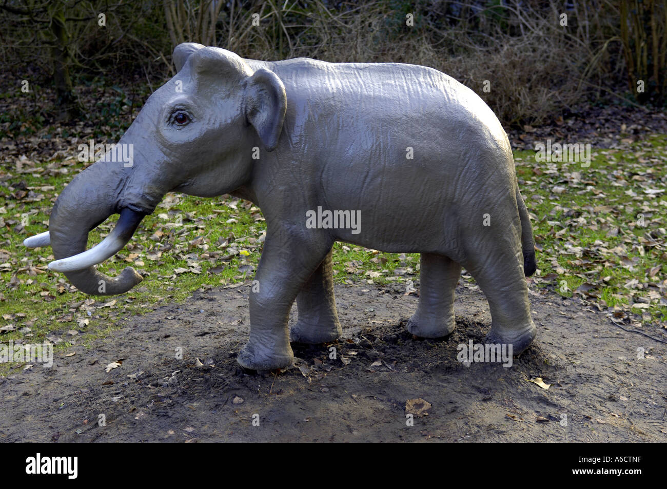 prehistoric head face large tusks baby mammoth animal Stock Photo - Alamy
