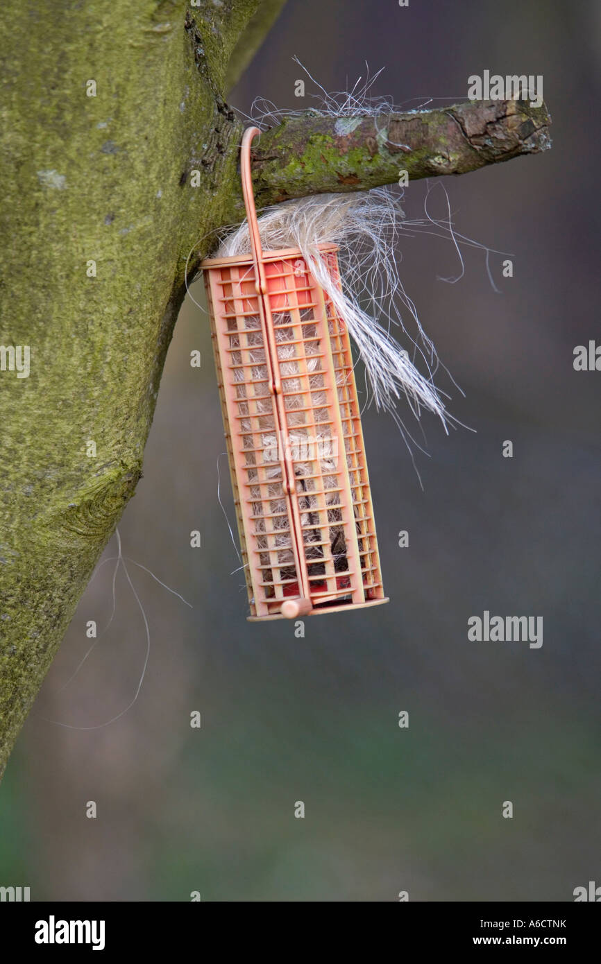 Nesting material dispenser Stock Photo - Alamy