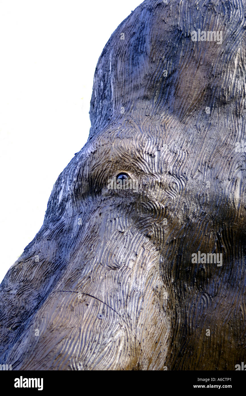prehistoric head face large brown eye mammoth Stock Photo - Alamy