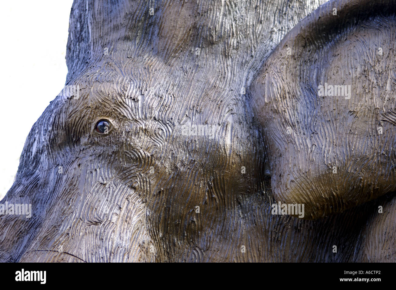 prehistoric head face large brown eye mammoth Stock Photo - Alamy