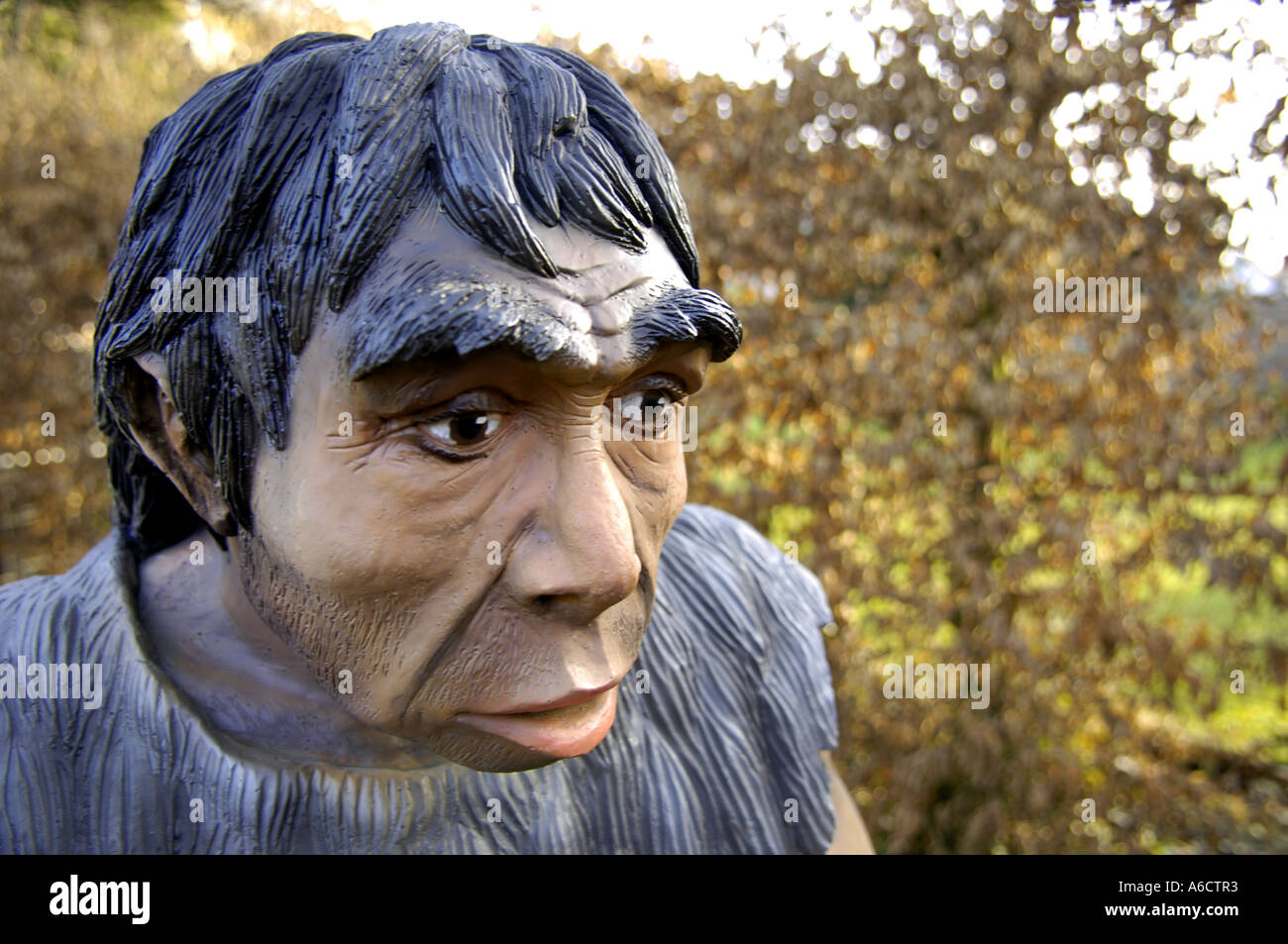 prehistoric head face large brown eye man male human humanoid ...
