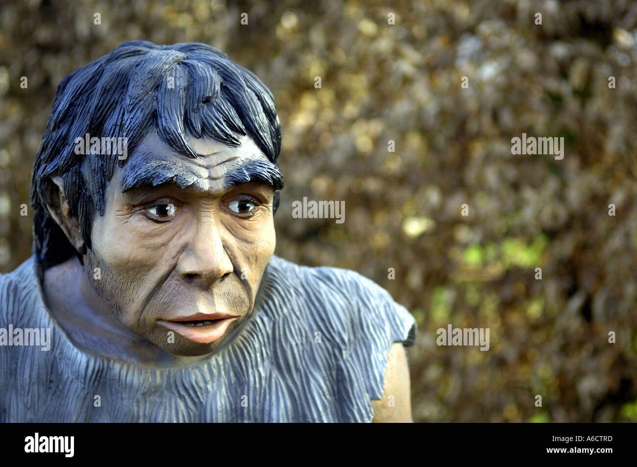 Neanderthal museum germany hi-res stock photography and images - Alamy