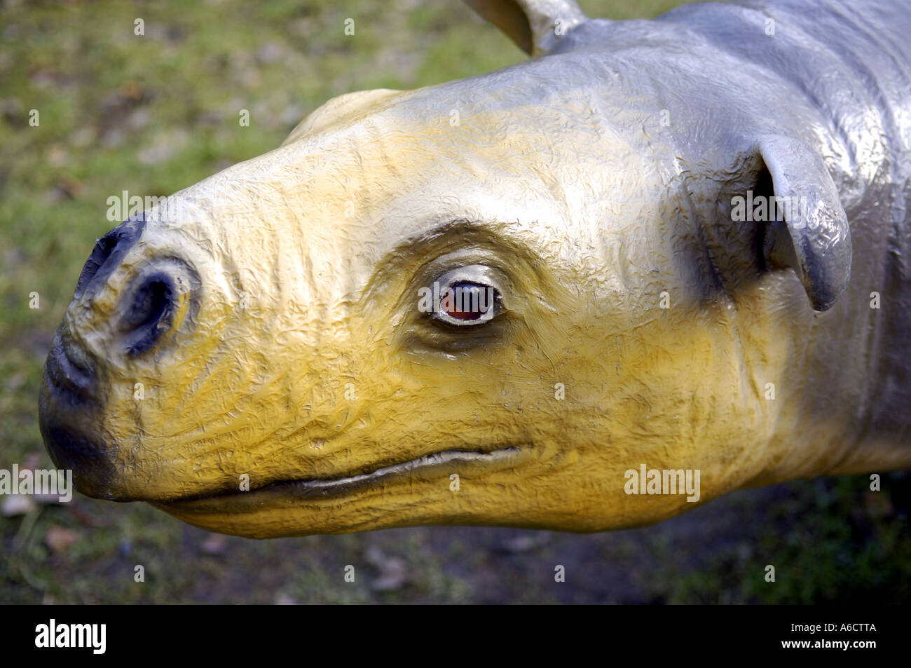 prehistoric animal ugly detail face head yellow moeritherium ...