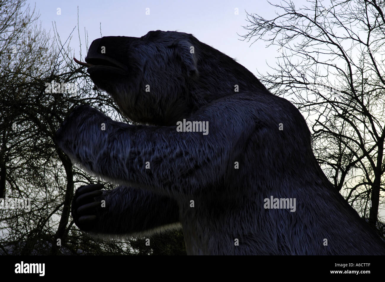 prehistoric animal ugly face head megatherium riesenfaultier extinct ...