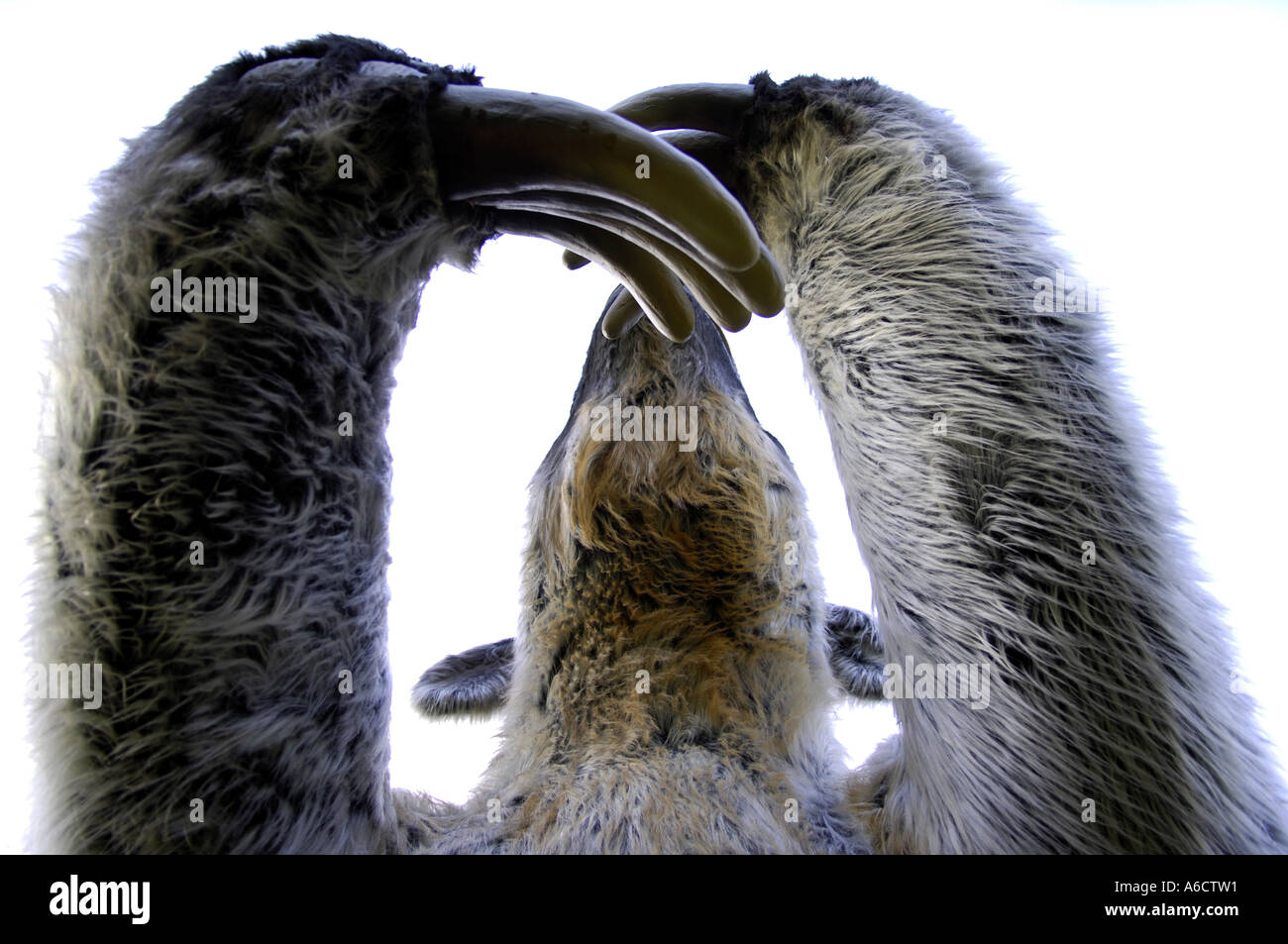 prehistoric animal claws below fur furry big large huge massive ...