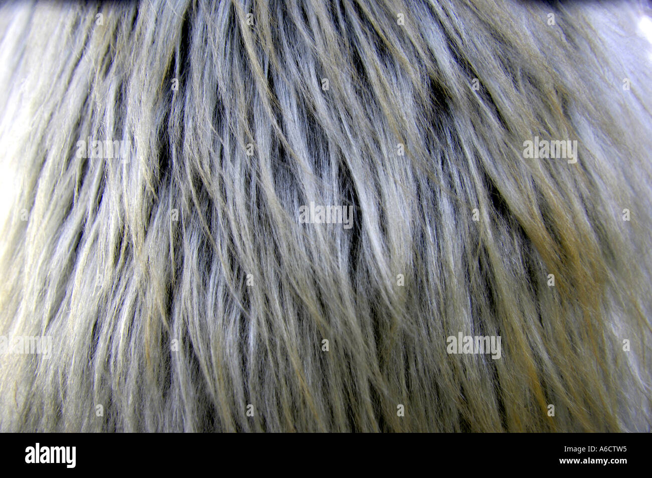 prehistoric animal fur furry big large huge massive Stock Photo - Alamy