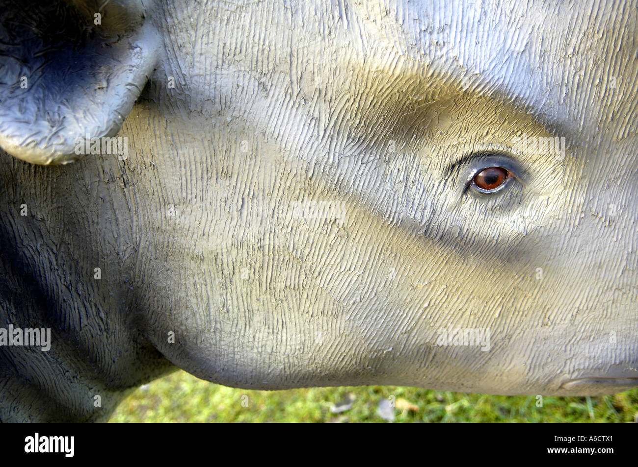 prehistoric animal big large huge massive wild detail nature natural ...