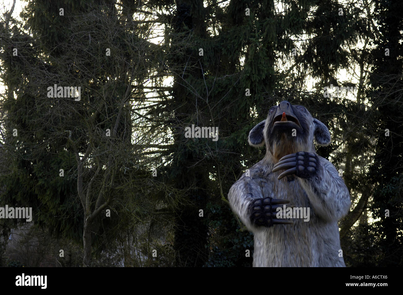 Megatherium museum High Resolution Stock Photography and Images - Alamy