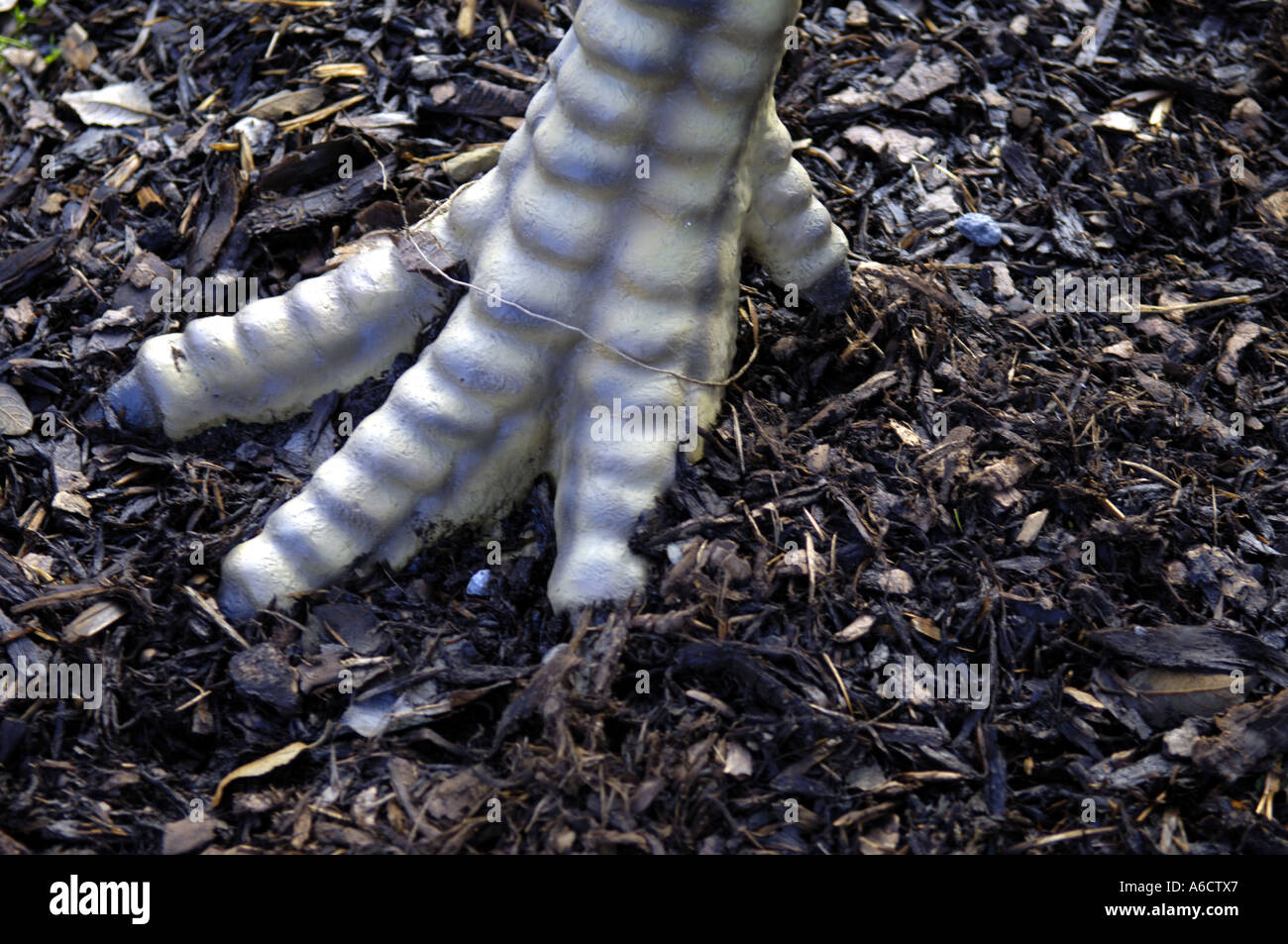 prehistoric animal big large huge massive wild detail nature natural ...