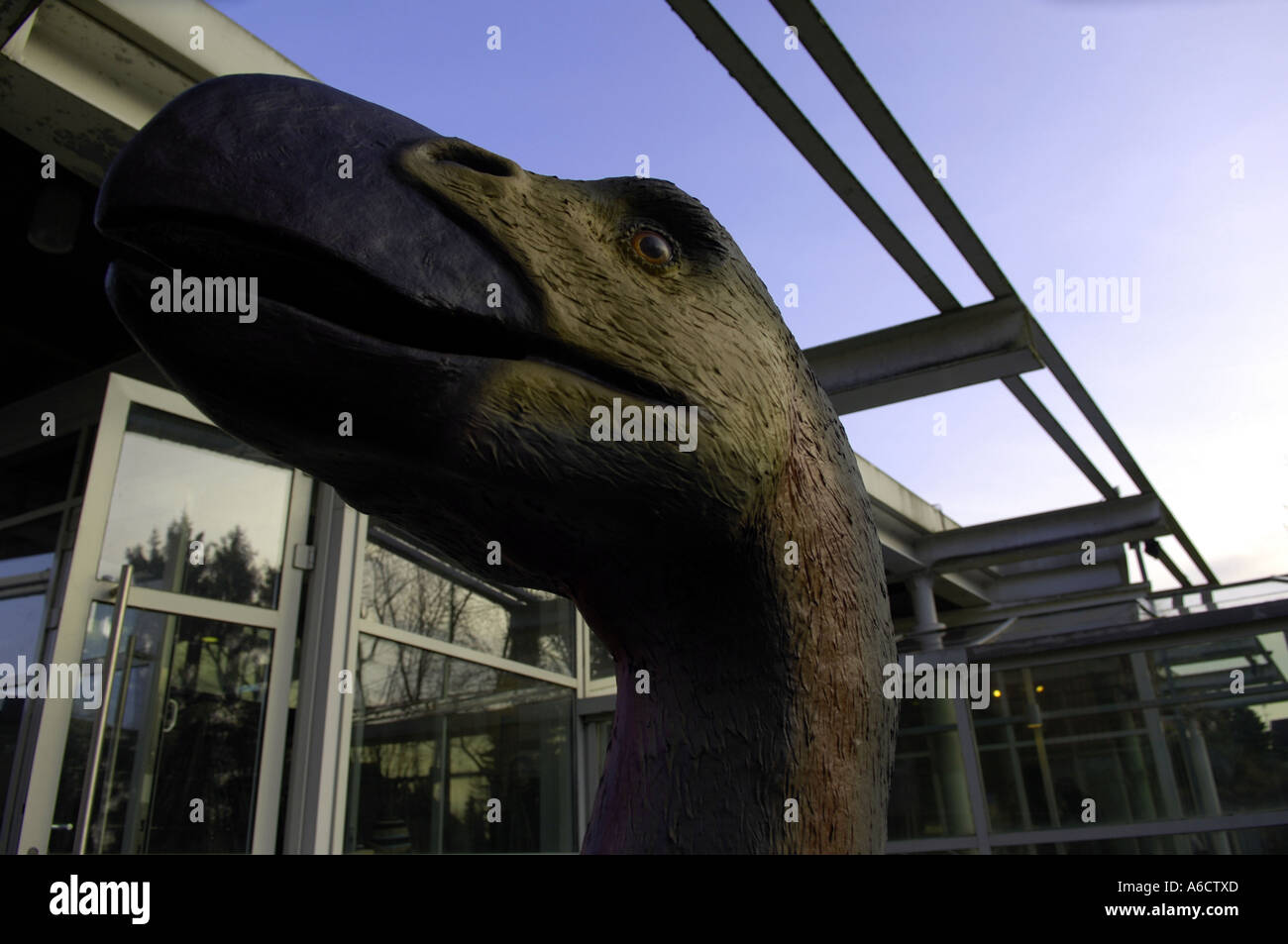 prehistoric animal big large huge massive wild detail nature natural ...