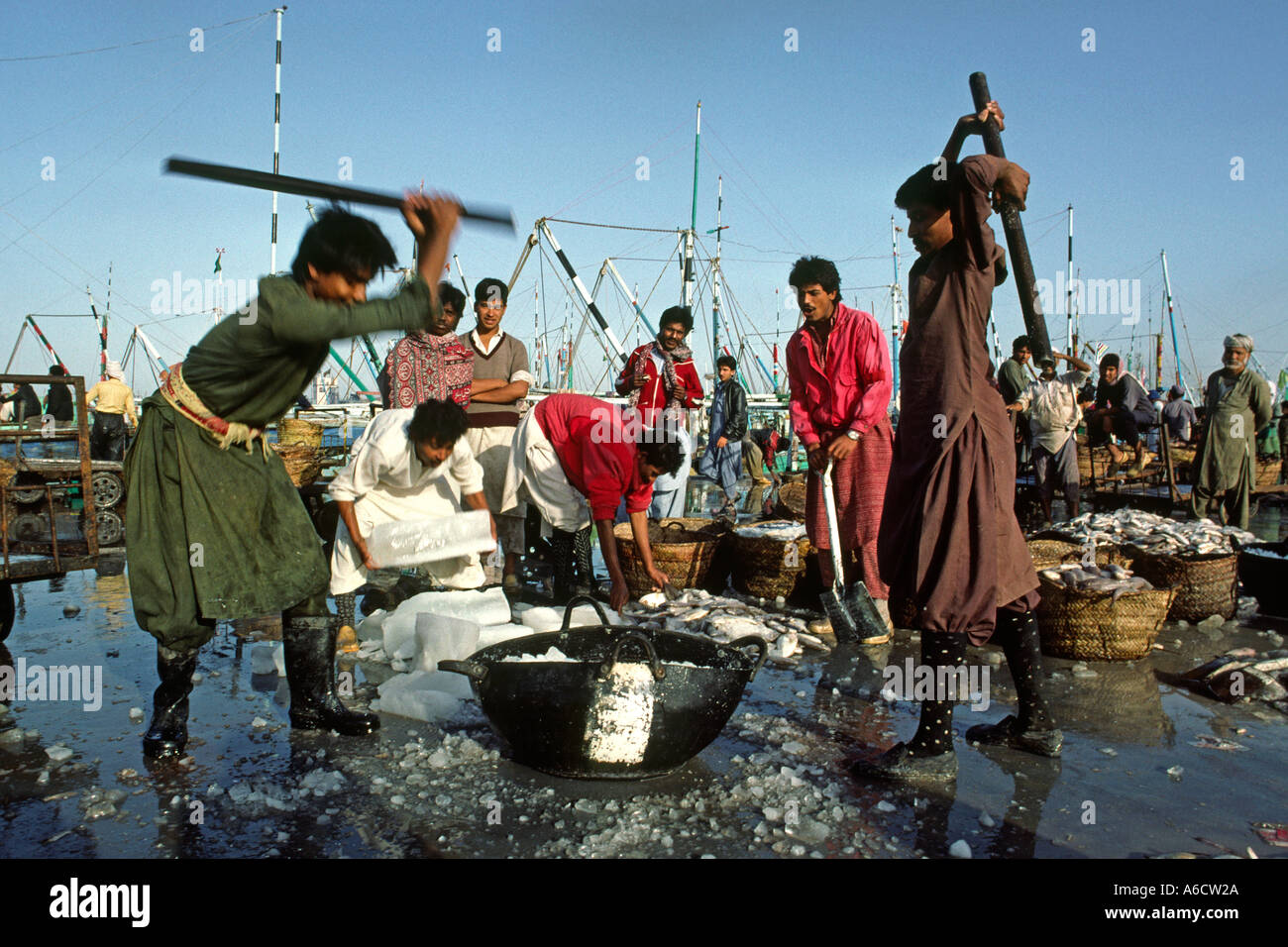 Pakistan Sind Karachi Fish Harbour ice being broken manually Stock ...