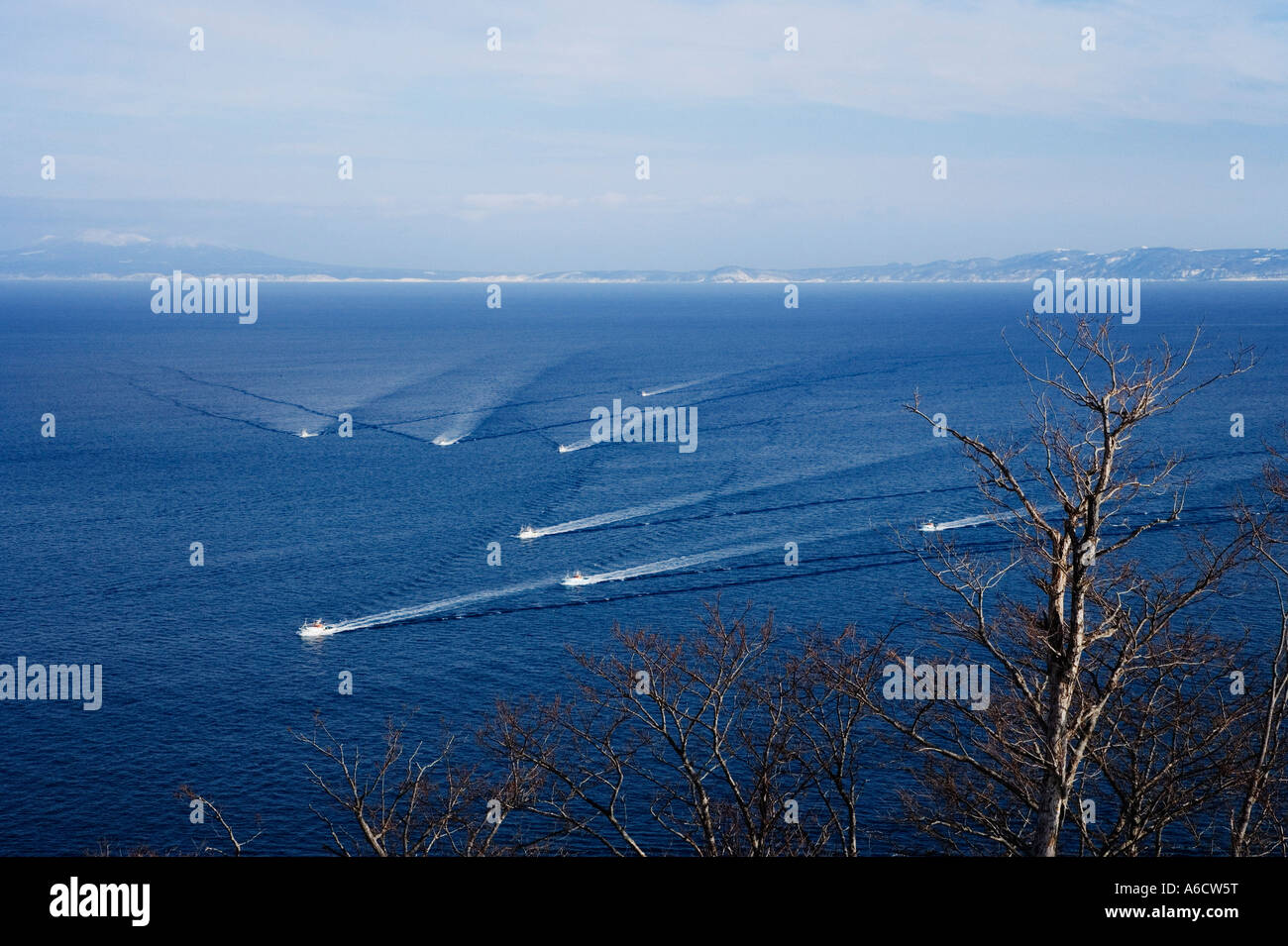 Fishing Fleet, Rausu, Shiretoko Peninsula, Hokkaido, Japan Stock Photo ...