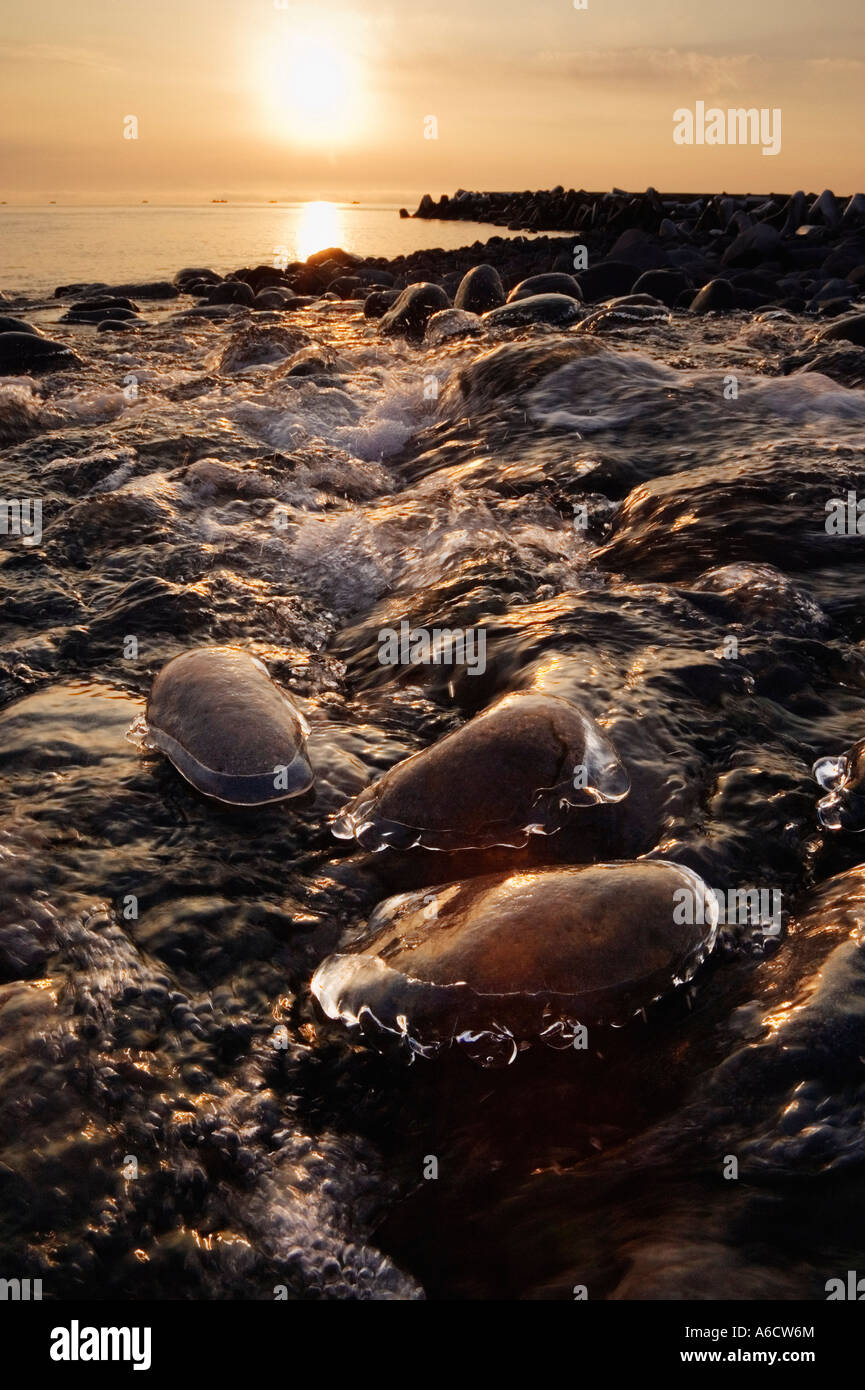 Shoreline, Shiretoko Peninsula, Hokkaido, Japan Stock Photo - Alamy