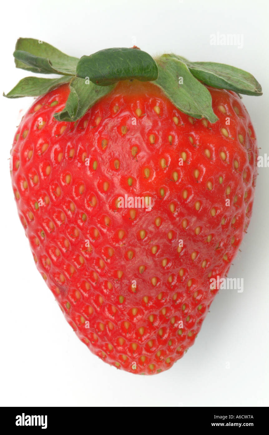 closeup of strawberry cutout cut out white background Stock Photo - Alamy