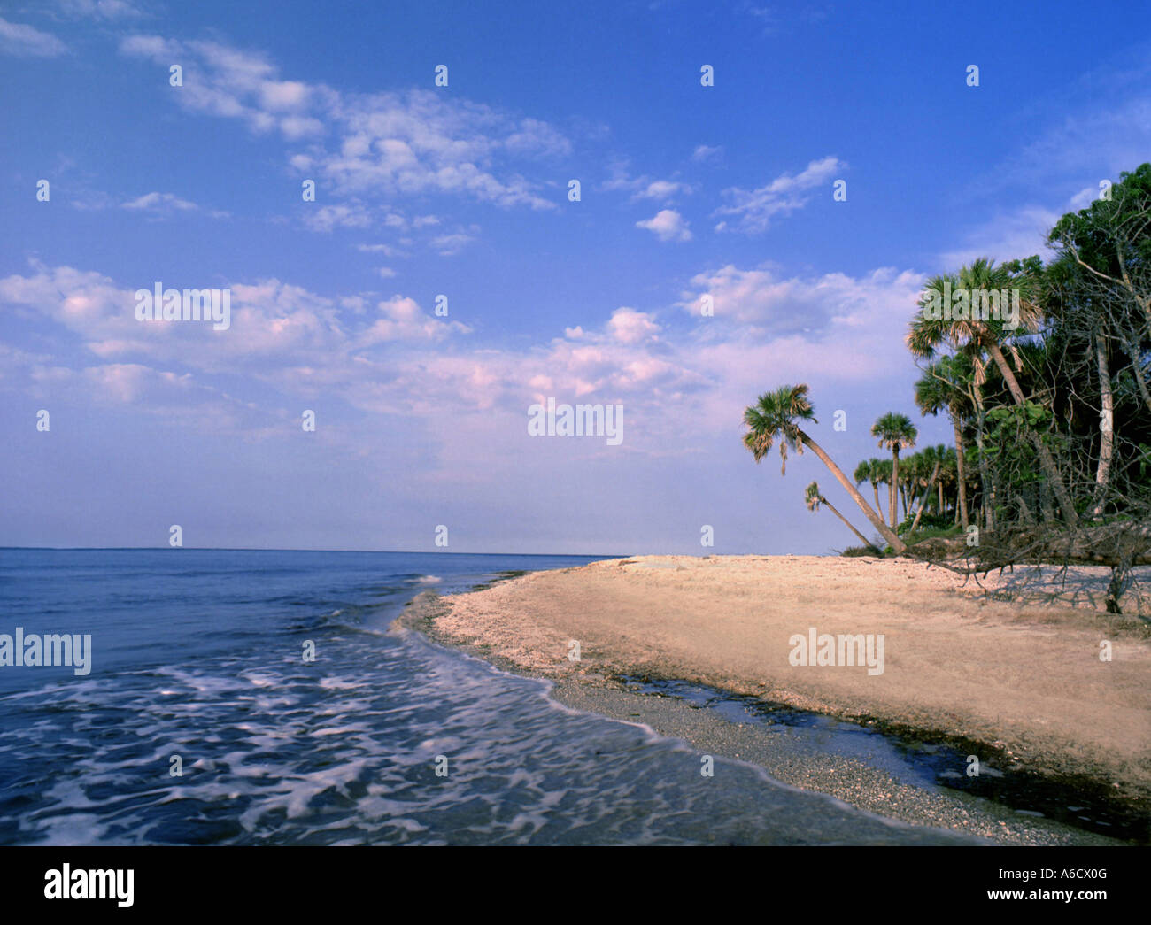 Cayo costa hi-res stock photography and images - Alamy
