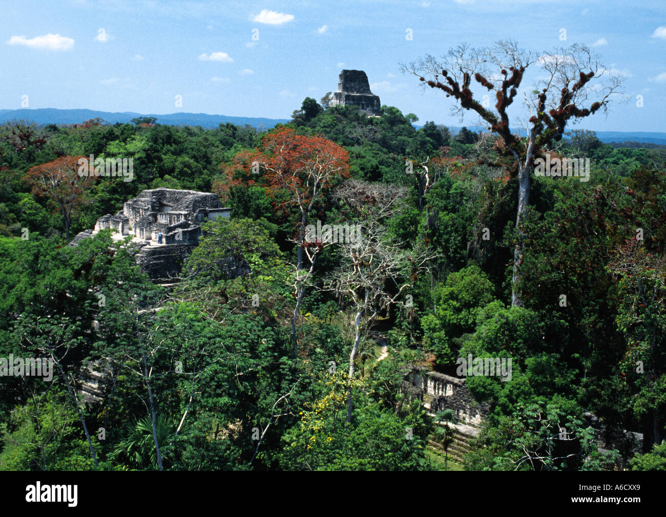 A view of TEMPLE IV rising 212 ft tall from the summit of the LOST ...