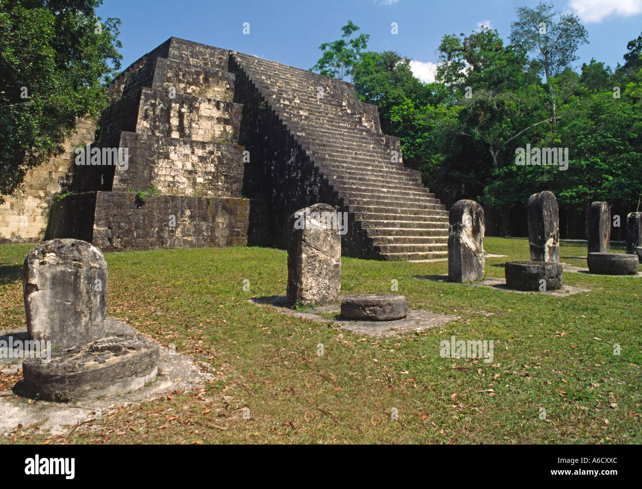 MAYA RUINS and stairway with STELAE ALTERS to MAYA RULERS of TIKAL ...