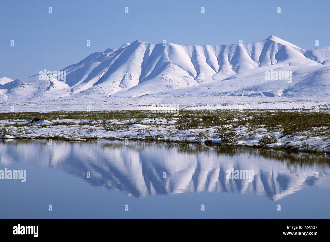 Alaska Brooks Range Dalton Highway Snowy peak reflected in small lake ...
