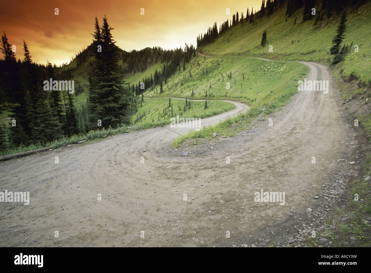 Dirt road on a hill, British Columbia, Canada Stock Photo - Alamy