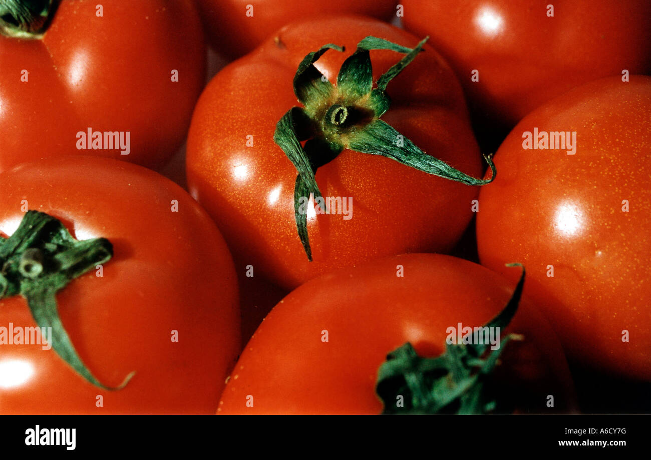 Close-up of tomatoes Stock Photo - Alamy