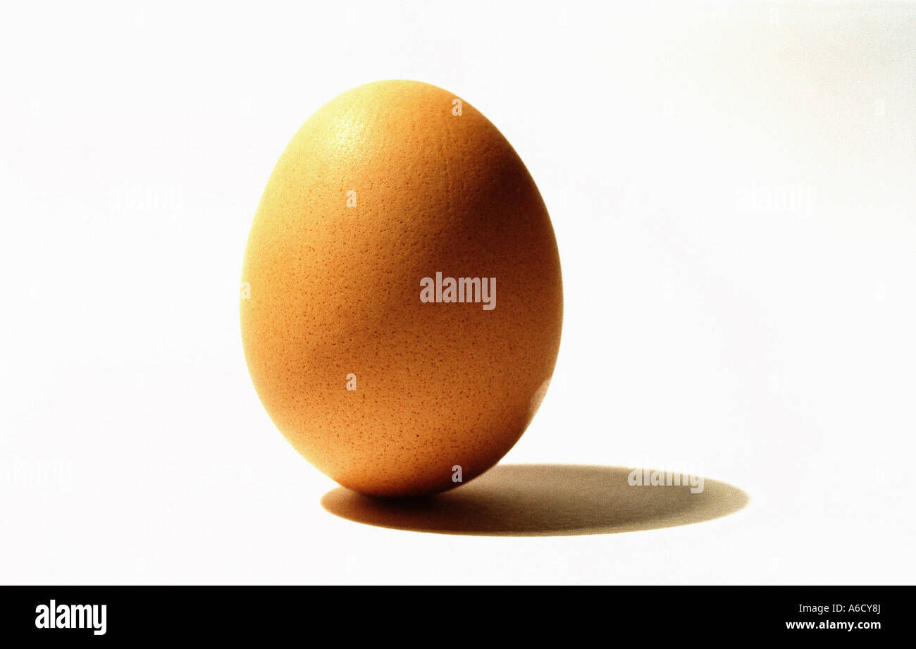 Close-up of an egg Stock Photo - Alamy