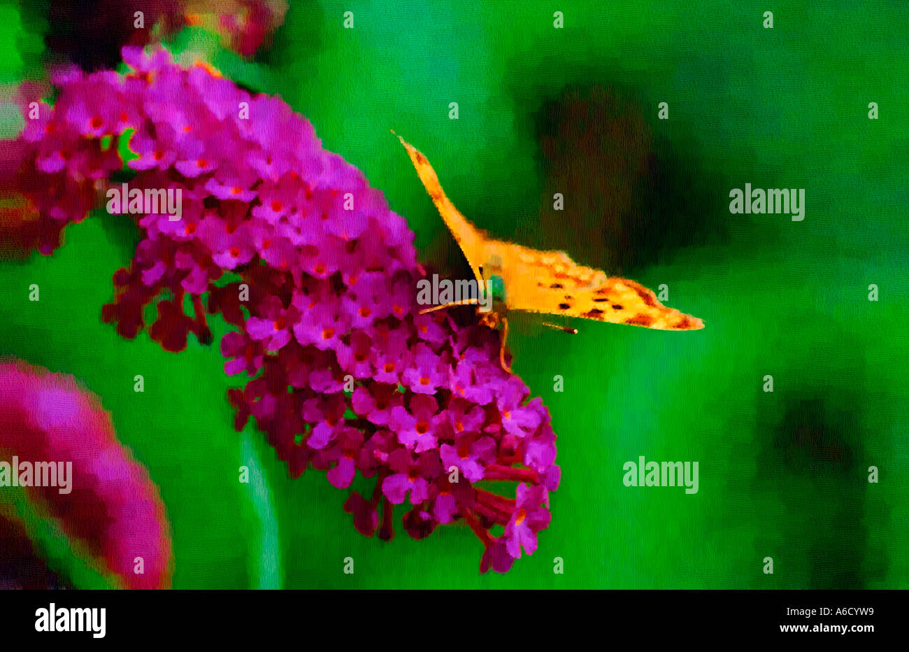 Oil painting flower hi-res stock photography and images - Alamy