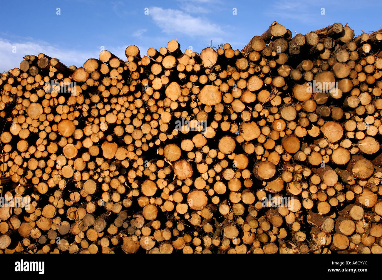 Scottish timber industry hi-res stock photography and images - Alamy