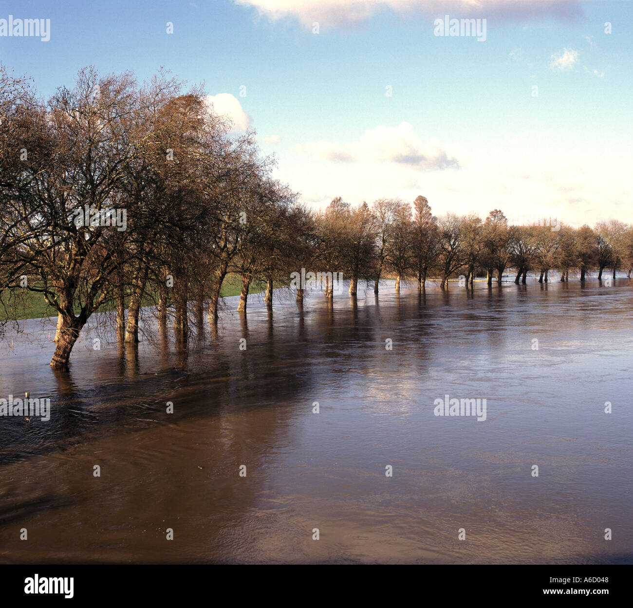 Flooded River Thames near Datchet Stock Photo - Alamy