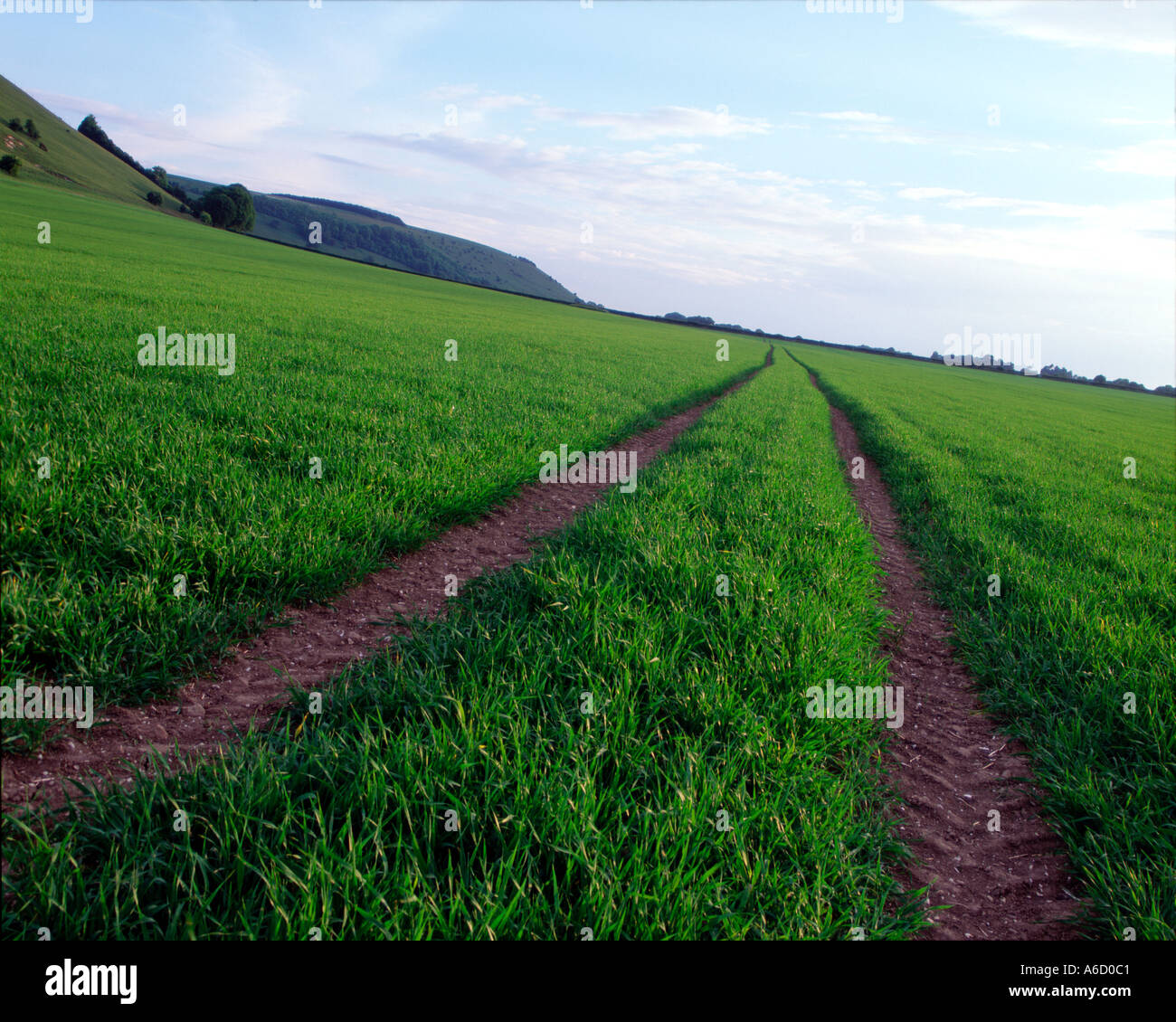 Farm Tracks through Field Wiltshire England UK Stock Photo - Alamy