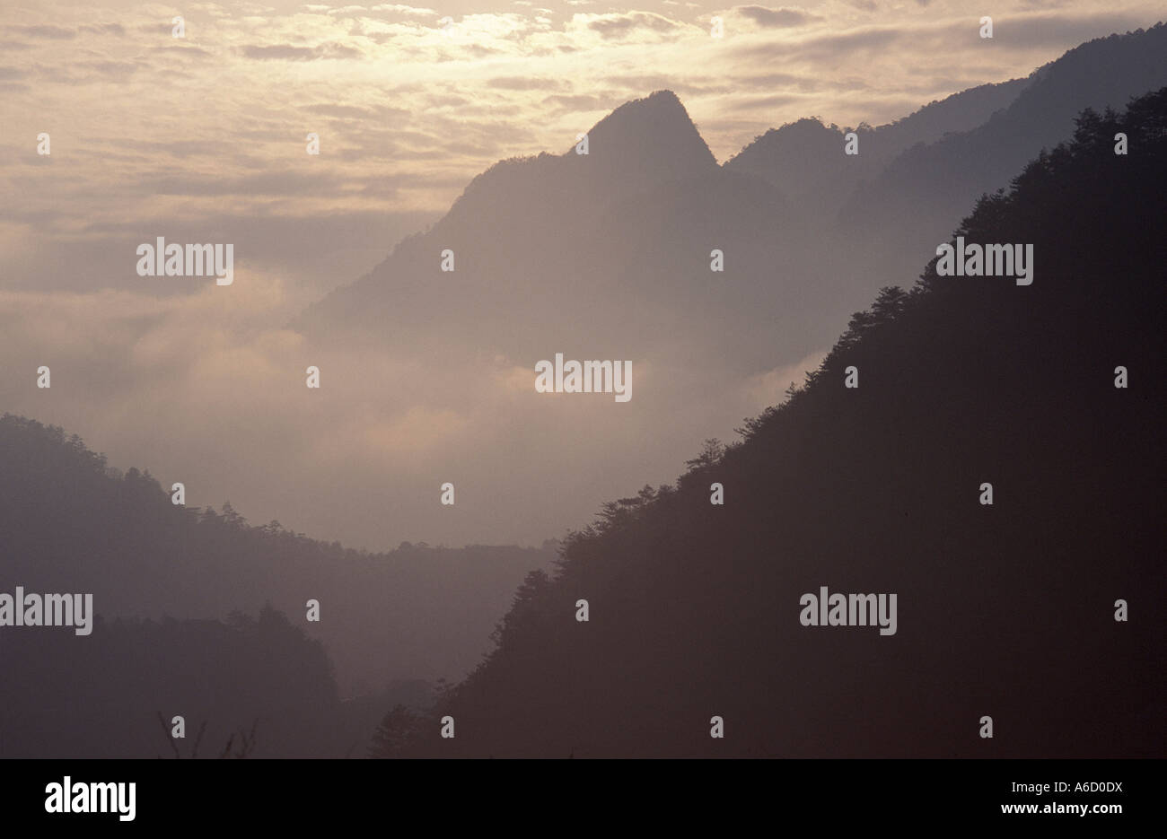 Mountain range at Lishan, Taiwan Stock Photo - Alamy