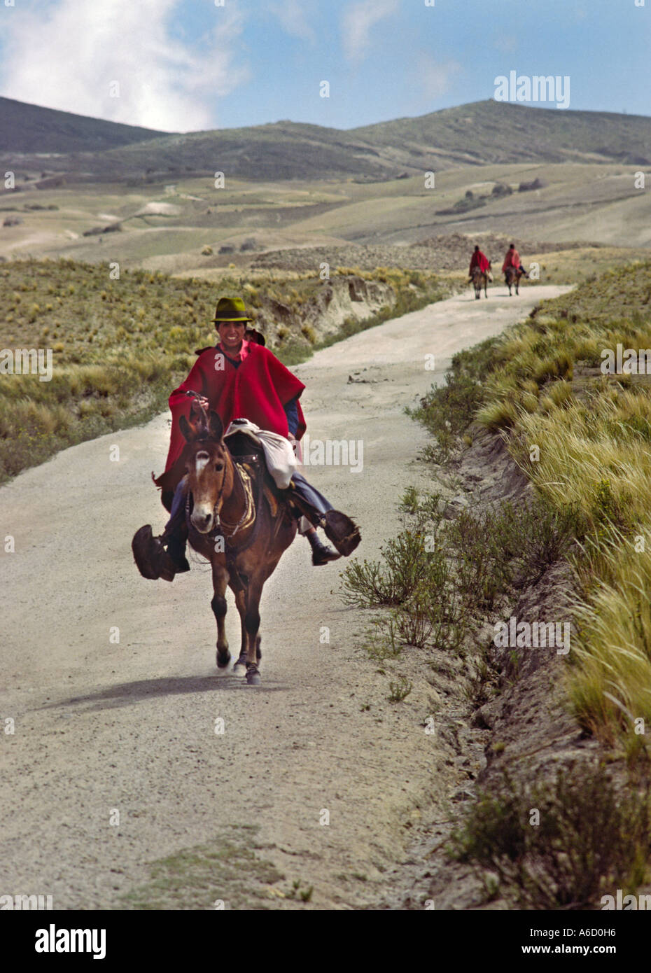SHEEP HERDER in RED PONCHO on HORSEBACK ALTIPLANO HIGH PLAIN ECUADOR ...