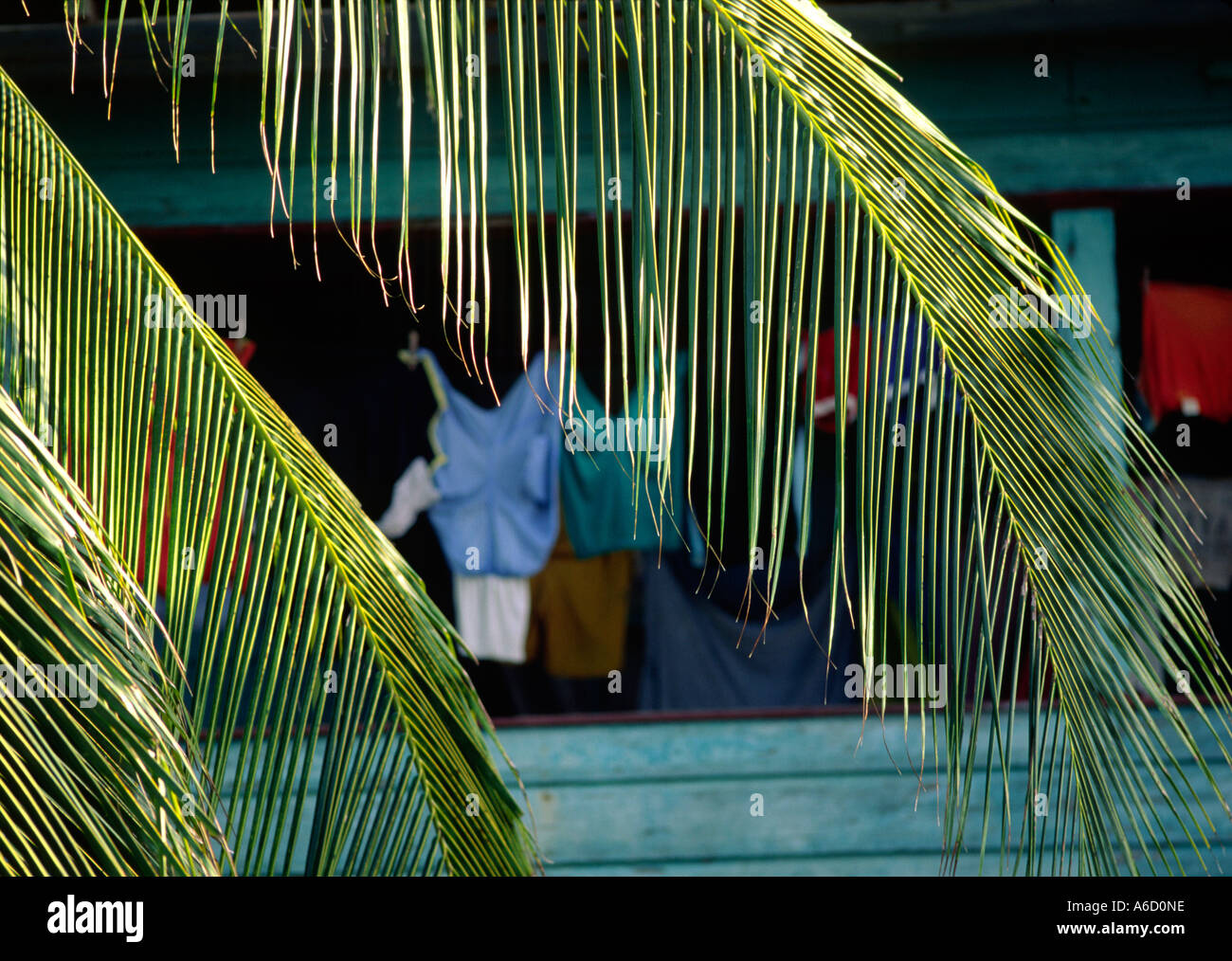 Punta Gorda Roatan Honduras High Resolution Stock Photography and ...