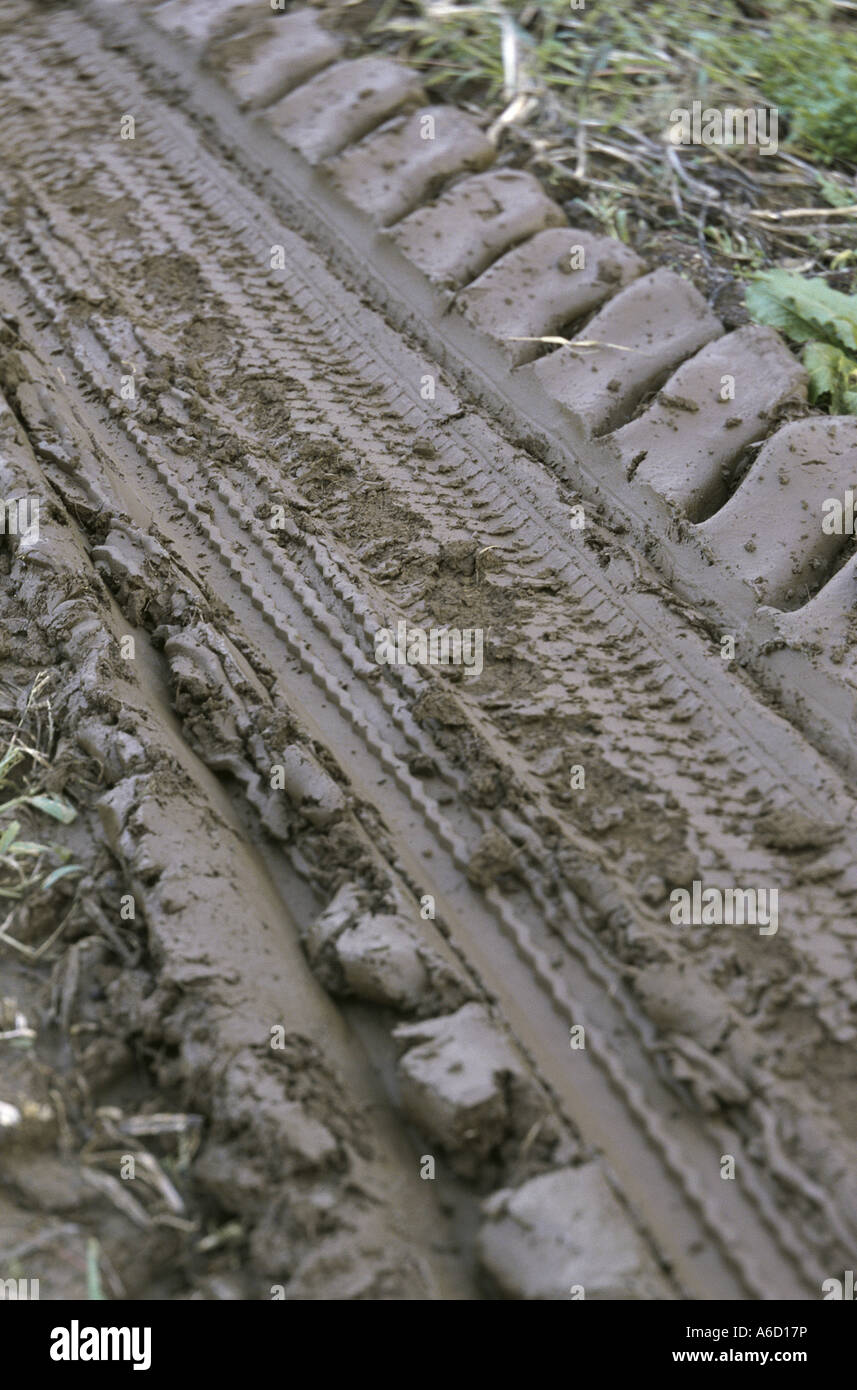Close-up of tire tracks in mud Stock Photo - Alamy