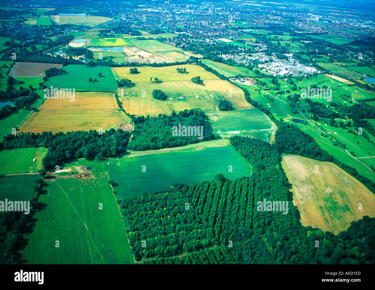 Green belt london hi-res stock photography and images - Alamy