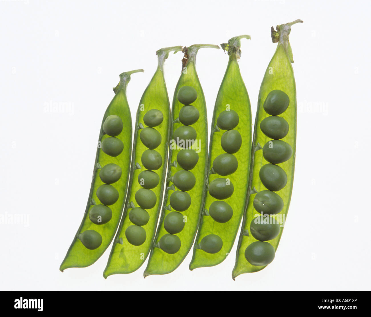 Close-up of peas Stock Photo - Alamy