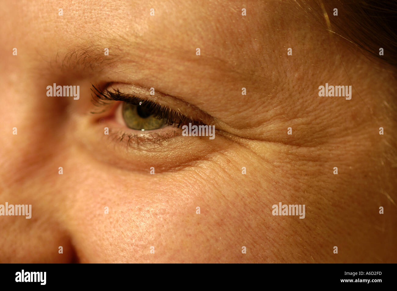 A close-up of an eye Stock Photo - Alamy