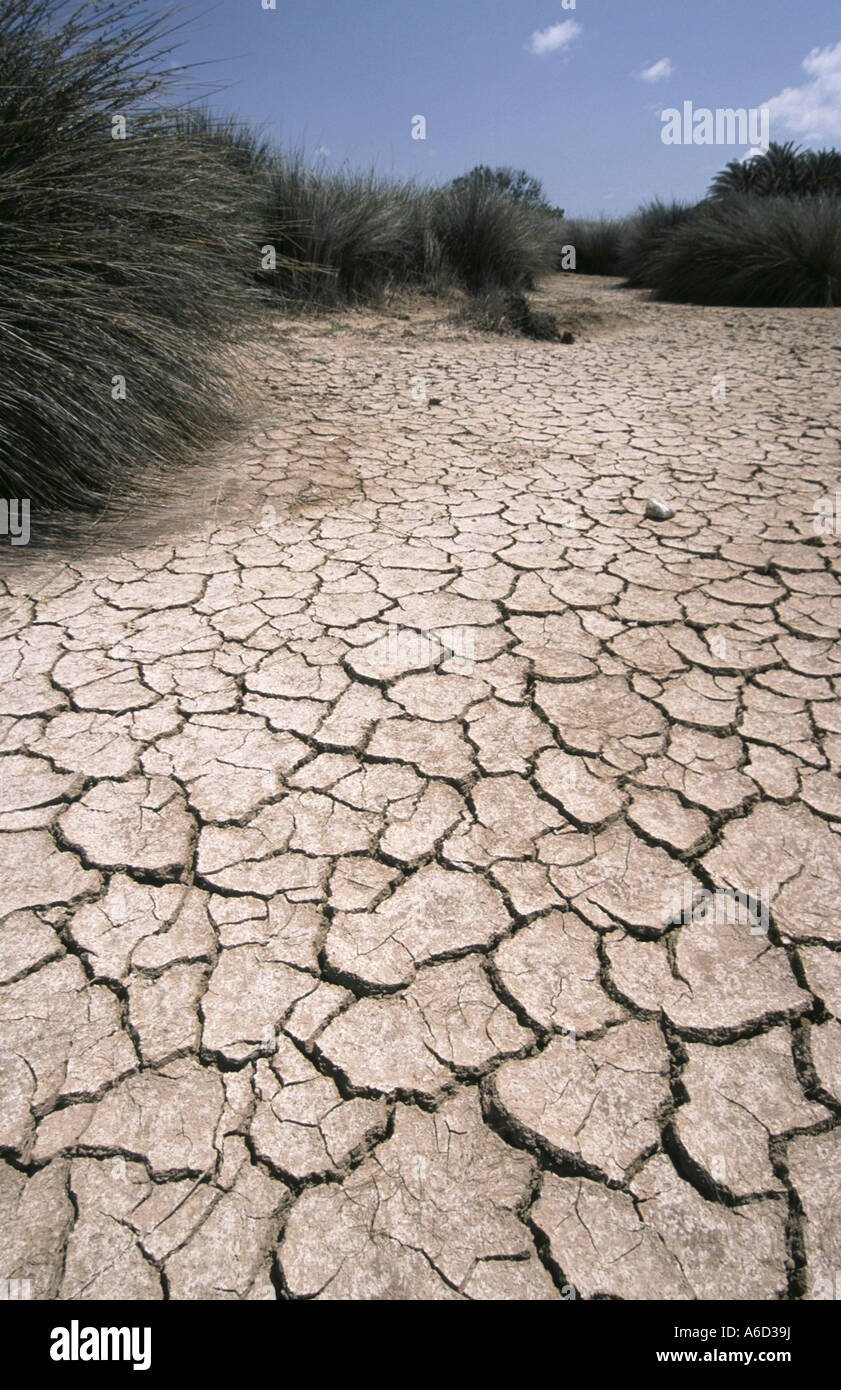 Cracked mud, Crete, Greece Stock Photo - Alamy