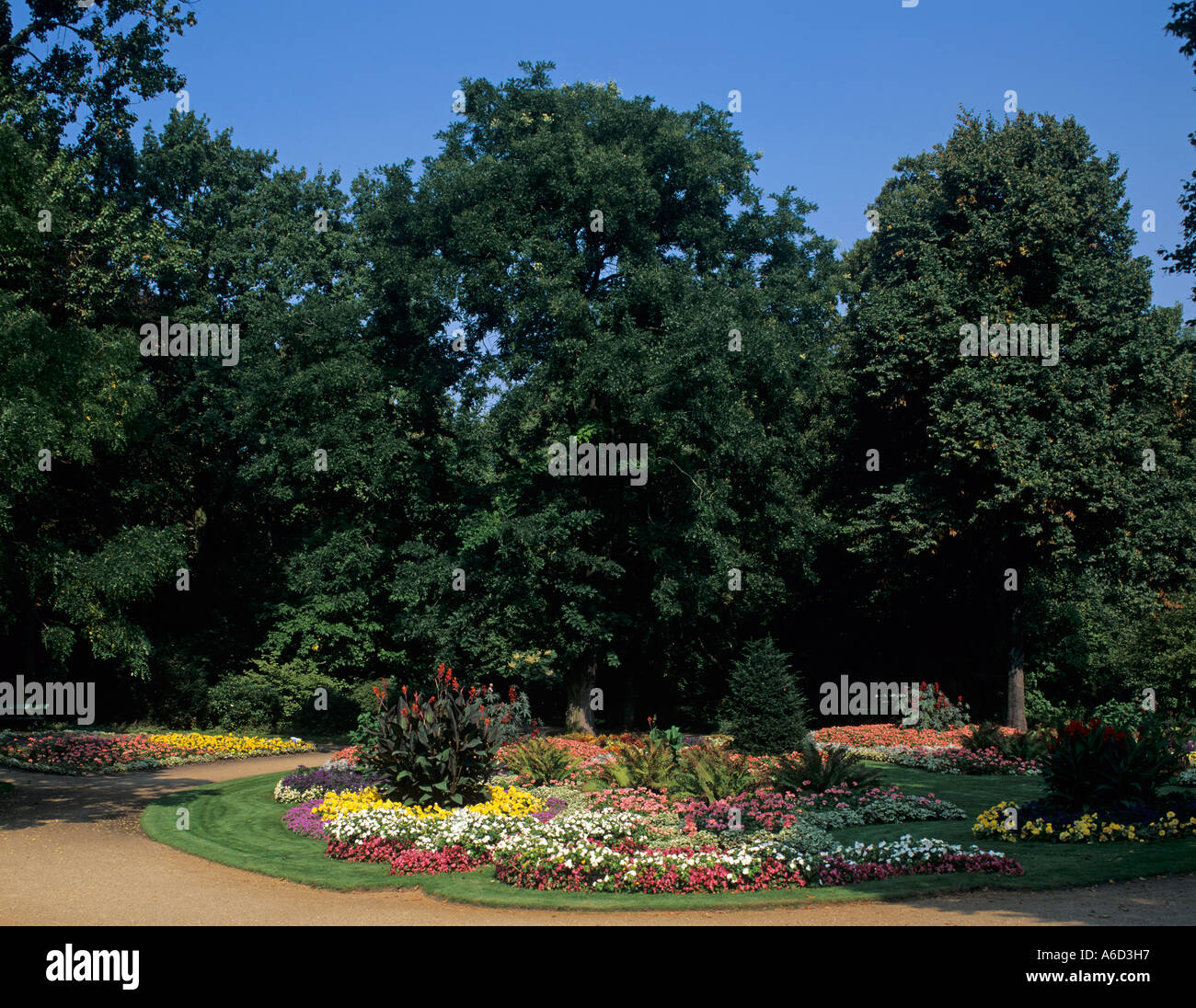 Interessante blumen hi-res stock photography and images - Alamy