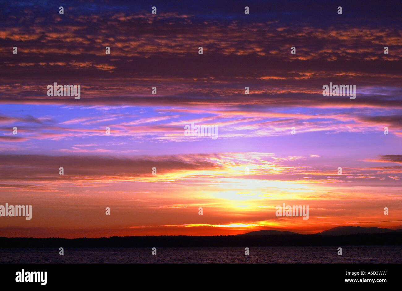 Carkeek park hi-res stock photography and images - Alamy