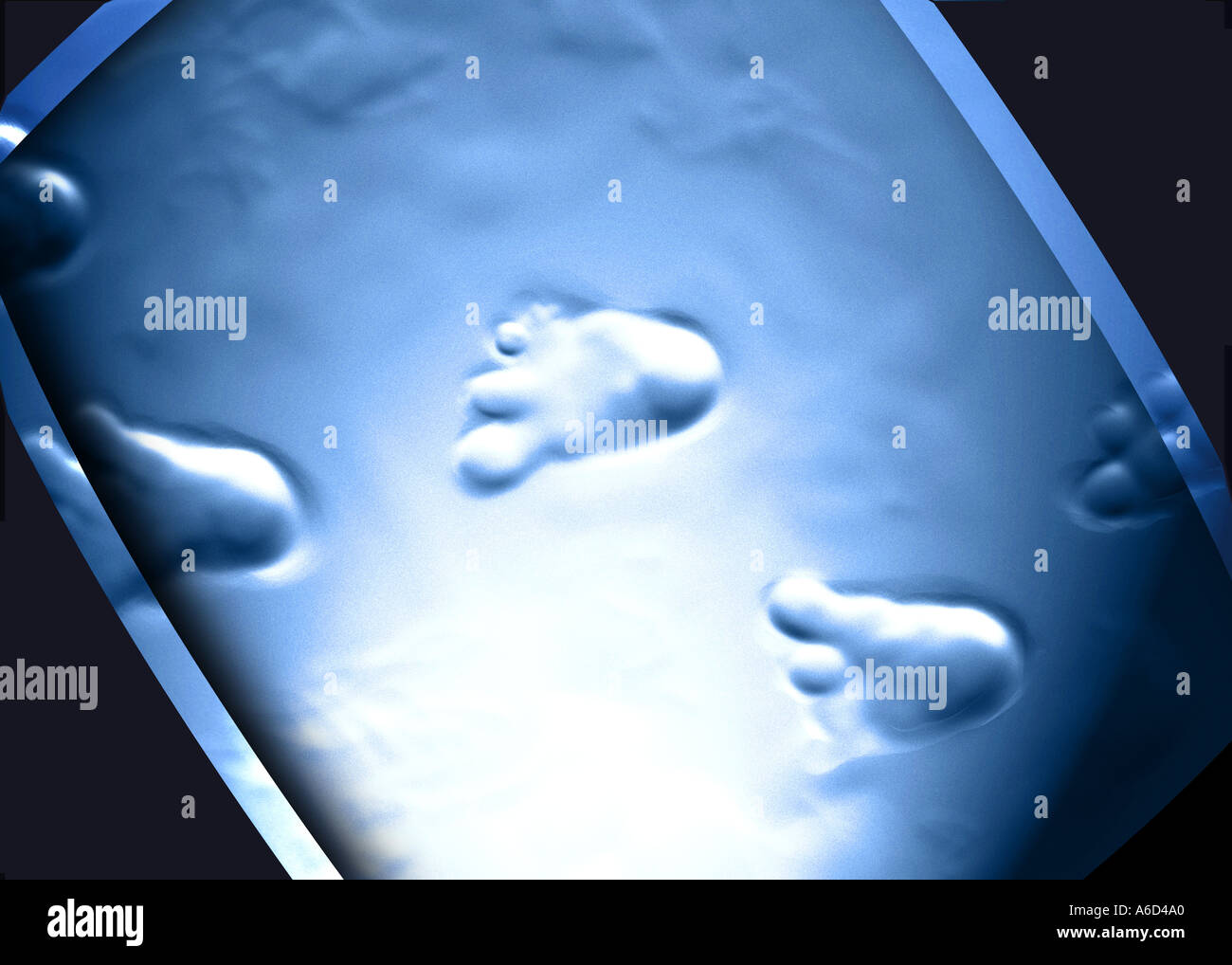 Footmarks of yeti Stock Photo - Alamy