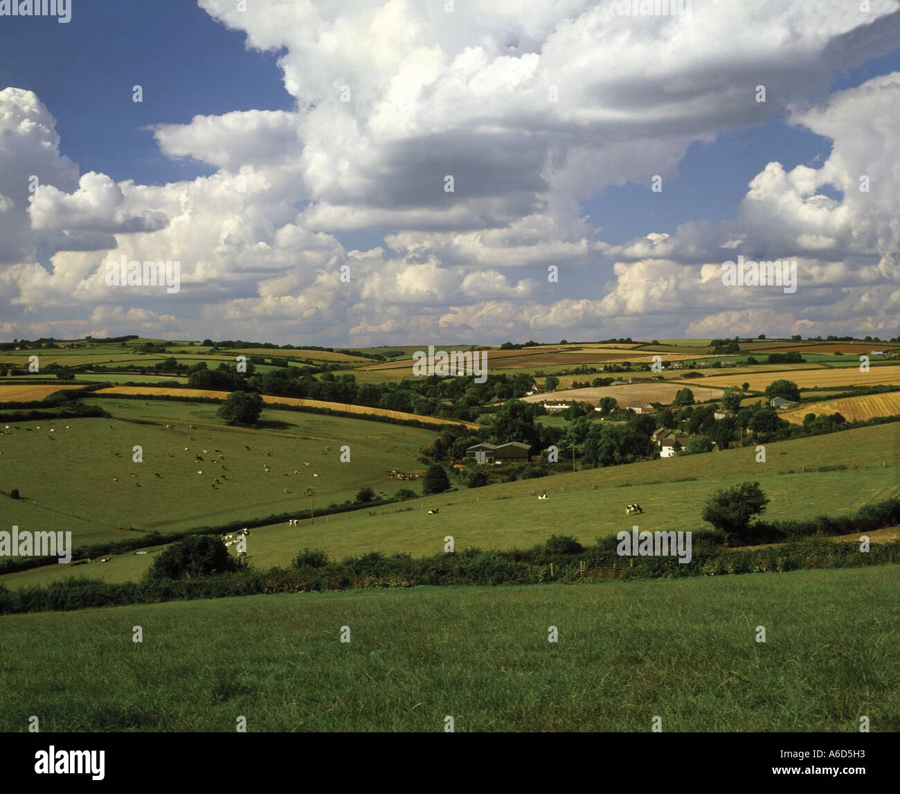 Cheselbourne dorset hi-res stock photography and images - Alamy